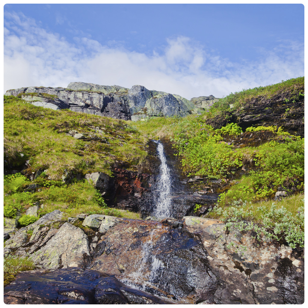 Les om allemannsretten / Lær om allemannsretten / I naturen ...