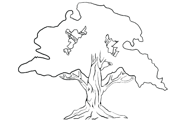 Skogen er et hjem / Trollmannskogen / Byparken 3–4 / Salaby Skole