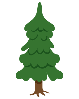 Les og svar nivå 2: Sopp / Livet i skogen / Naturfag / Byparken ...