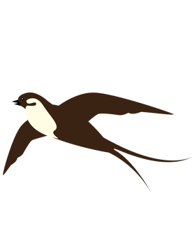 Fugler / Øv på dybdelesing / Øv på lesing / Norsk / Byparken 3–4 ...