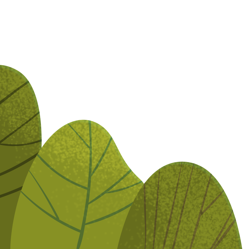 Mattepop / Regning og problemløsning / 3. trinn / Matte 3-4 / Byparken ...