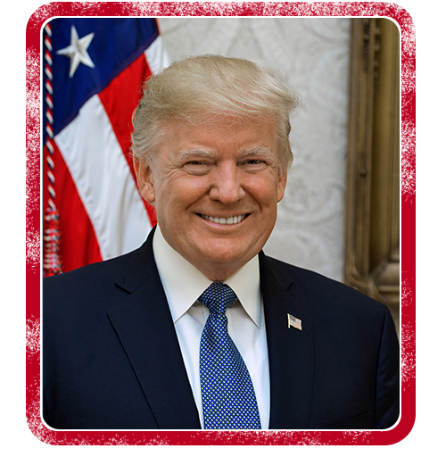 Les om Donald Trump / 3.–4. trinn / Valget i USA / Salaby Skole